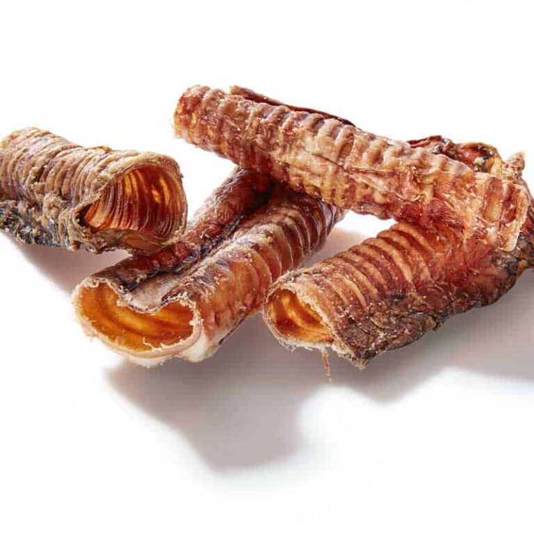 Natural, Preservative-Free Clear Dog Treats • Barf Time